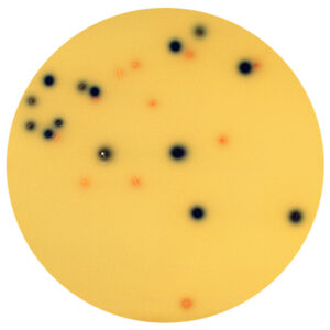 CHROMOGENIC COLIFORM AGAR - Biolife Cromogeni