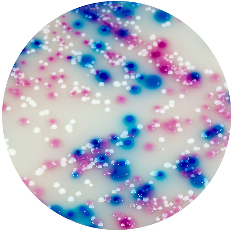 CHROMART CRE-ESBL AGAR BASE - Biolife Cromogeni